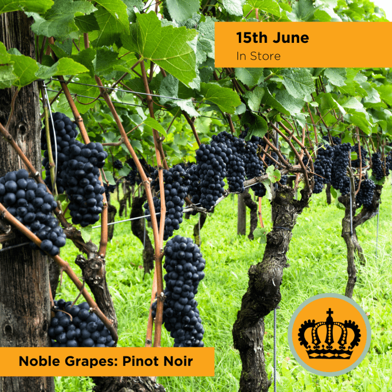 Noble Grapes: Pinot Noir - Cambridge Wine Royston, Hertfordshire